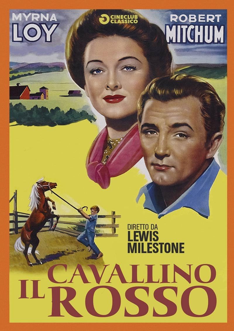 Dvd - Cavallino Rosso (Il) (1 DVD): Amazon.co.uk: Shepperd Strudwick ...