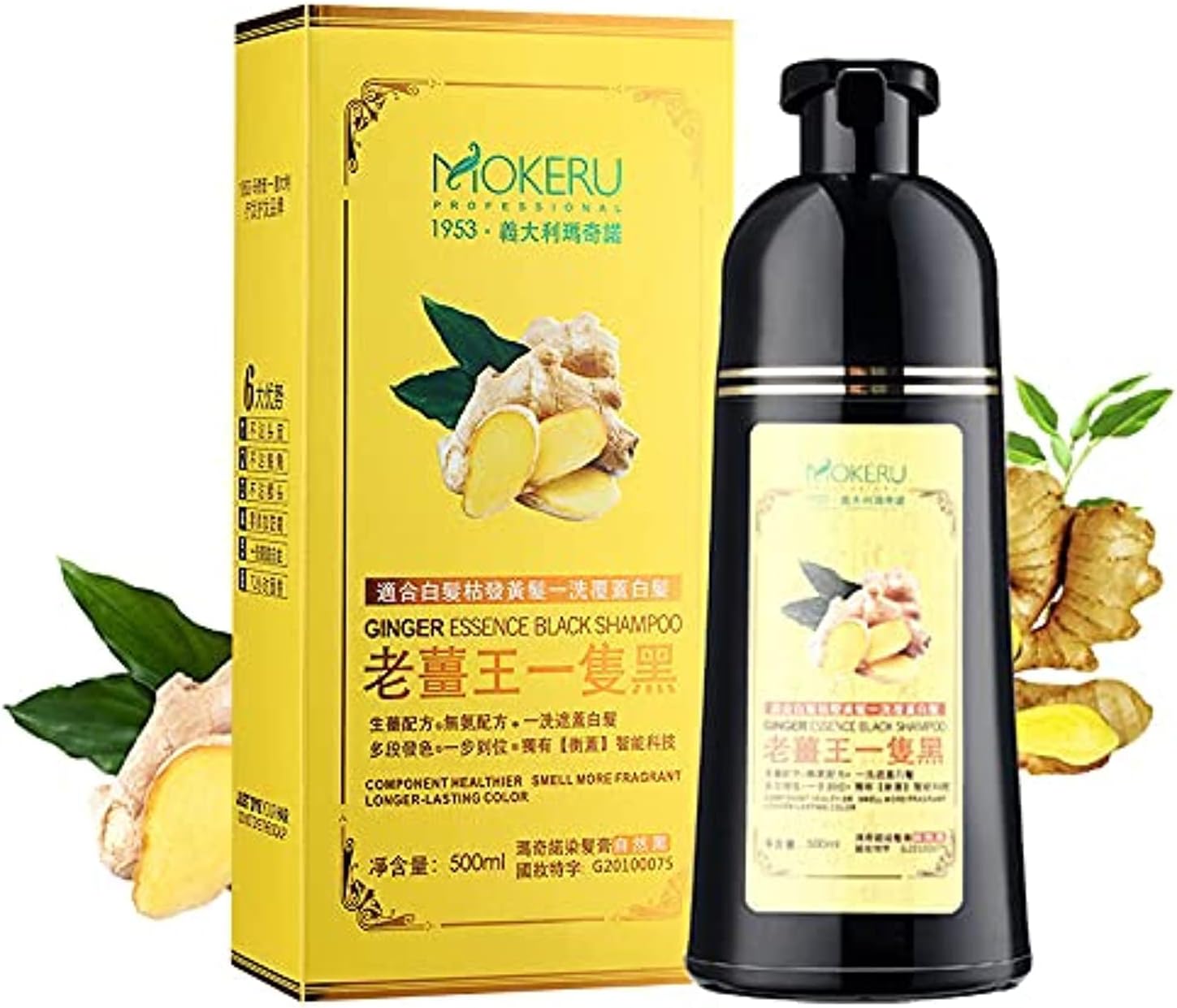 Amazon.com : 500ml Ginger Black Hair Shampoo, Ginger Shampoo Fast Black ...