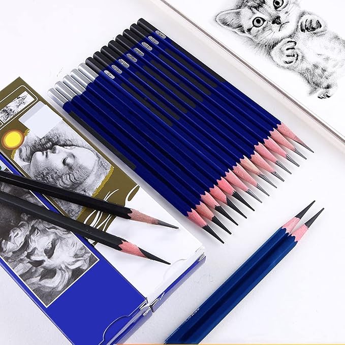 wolpin Drawing Pencils Graphite Pencil for Fineart Artists (Pack of 12 ...