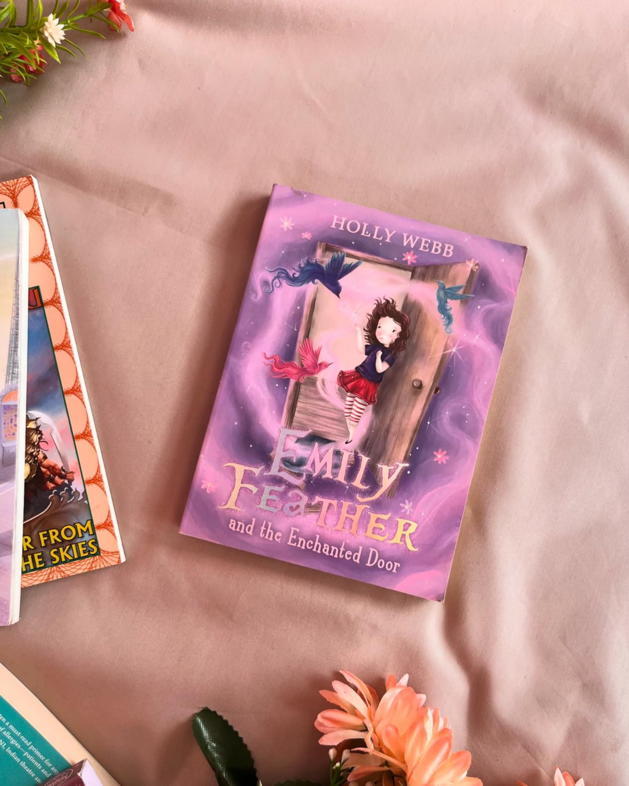 Emily Feather and the Enchanted Door: 1 : Webb, Holly: Amazon.in: Books