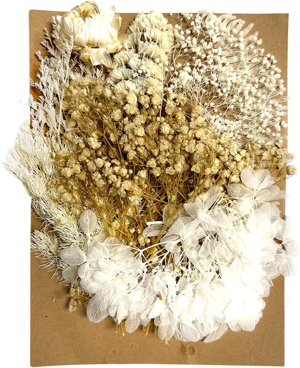 LAUMOE Dried Flowers, Dried Flower, White Dried Flowers Small Dried ...