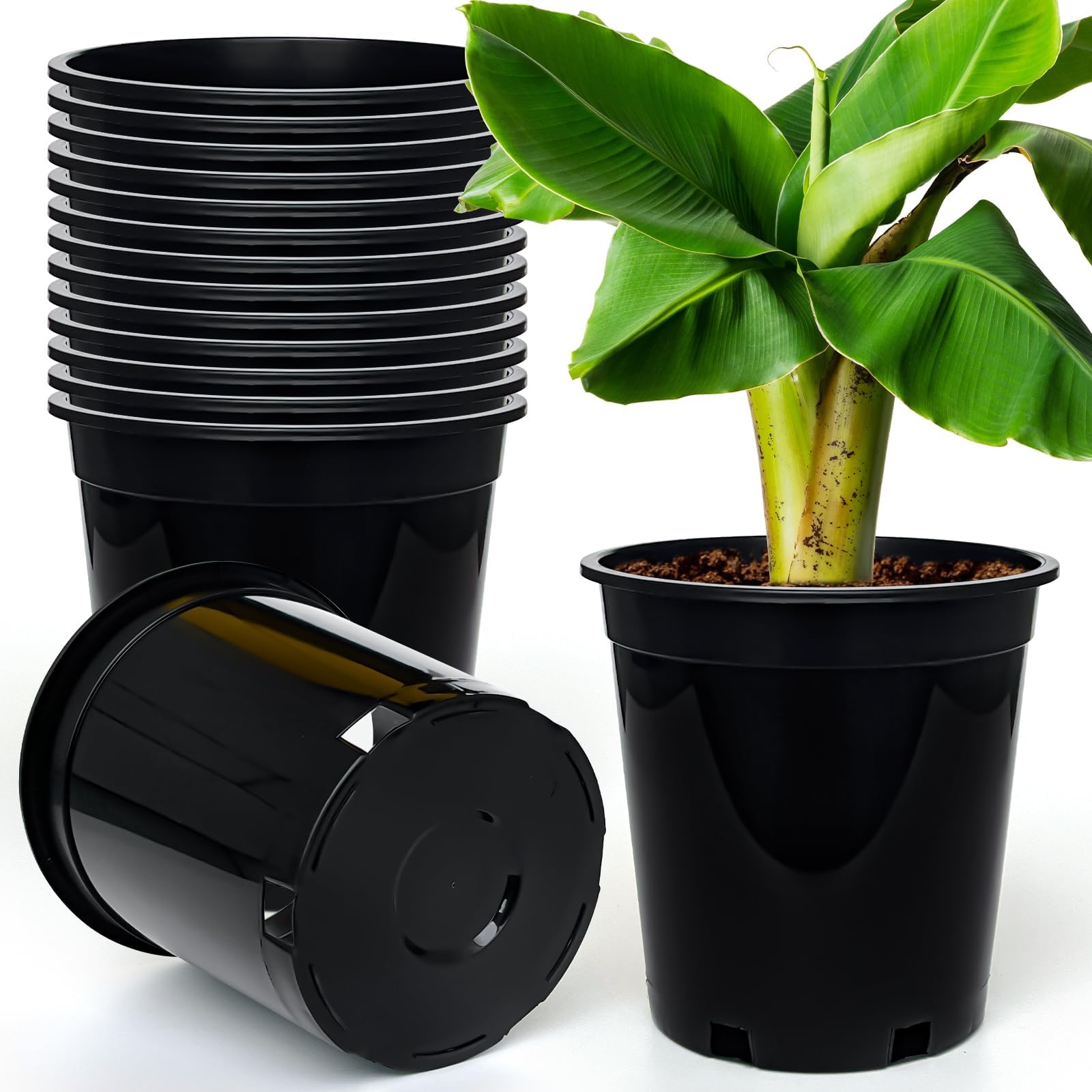 Amazon.com: Viagrow 1 Gal. Plastic Nursery Pots (3.78 Liters) 10-Pack ...