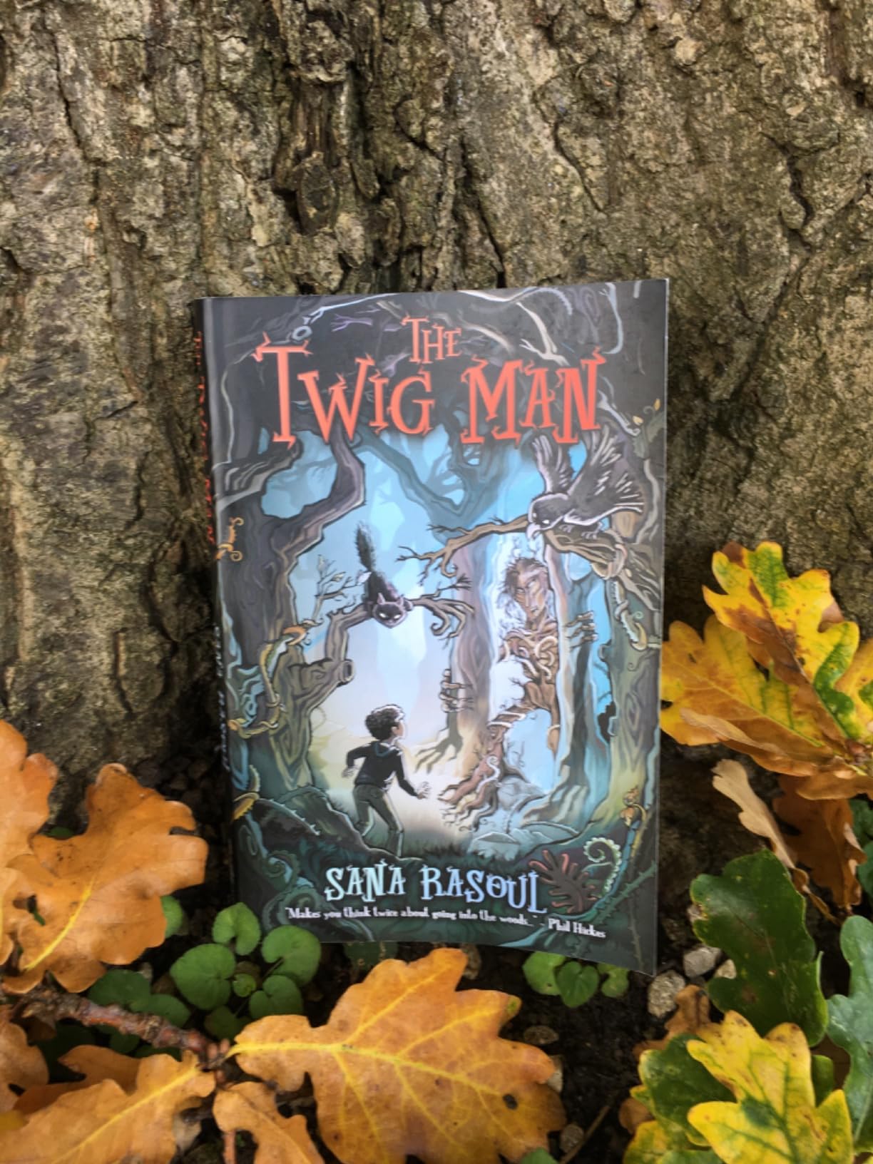 The Twig Man: Amazon.co.uk: Sana Rasoul: 9781913835255: Books