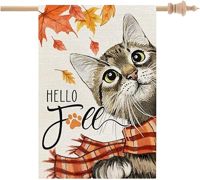 Amazon.com : Toland Home Garden 1112655 Fall Cat and Ladybug Flag ...