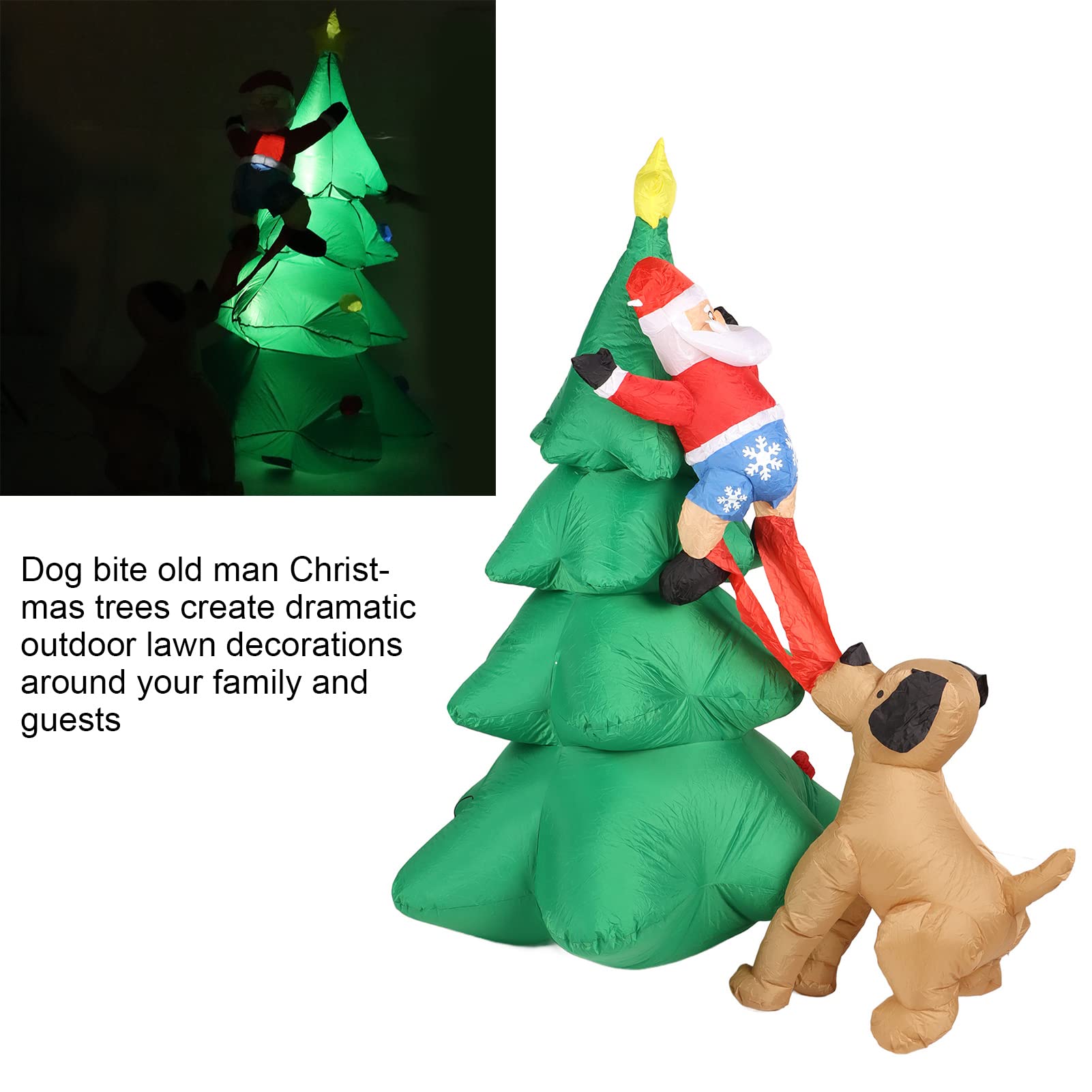 Inflatable Pathway Of Trees Tree Planting Mountains To Sound