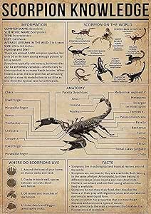 Amazon.com: Scorpion Knowledge Metal Tin Signs Scorpion Reference ...