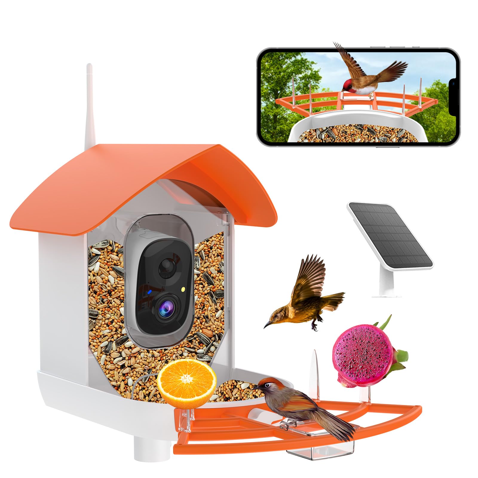 Amazon.com : Bird Feeder with Camera,AI Identify Birds Species,Smart ...
