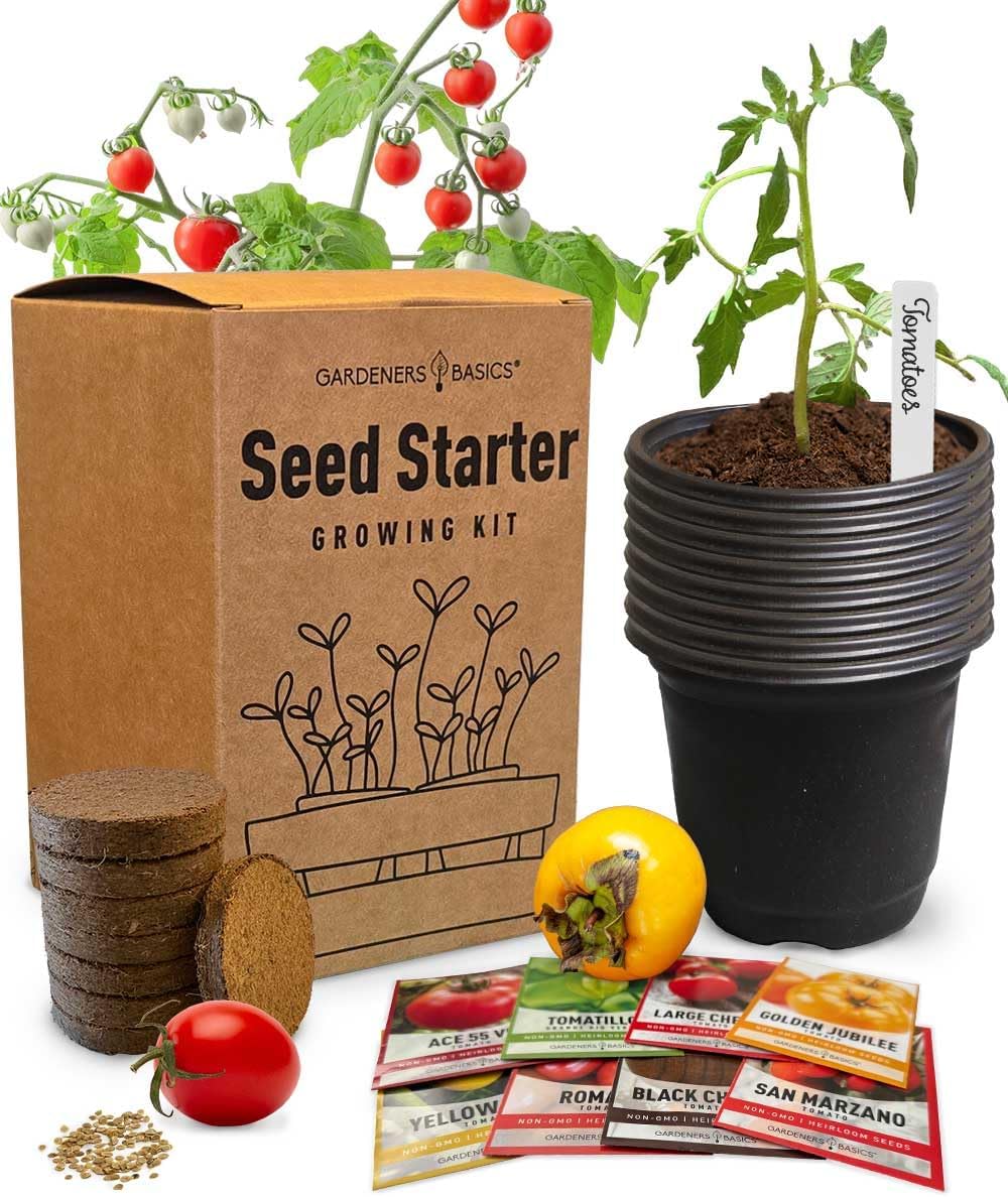 Amazon.com : Tomato Growing Kit – Grow 8 Varieties of Delicious Tomatoes – Non-GMO Heirloom ...