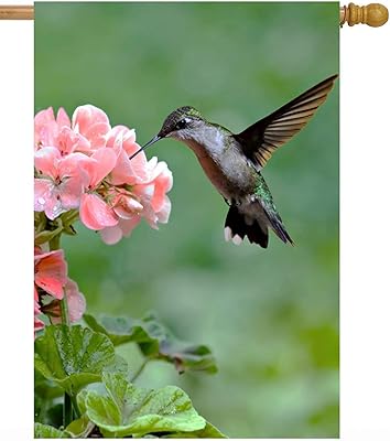 Amazon.com : Hummingbird Garden Flags, Flower Garden Spring Yard Flags ...