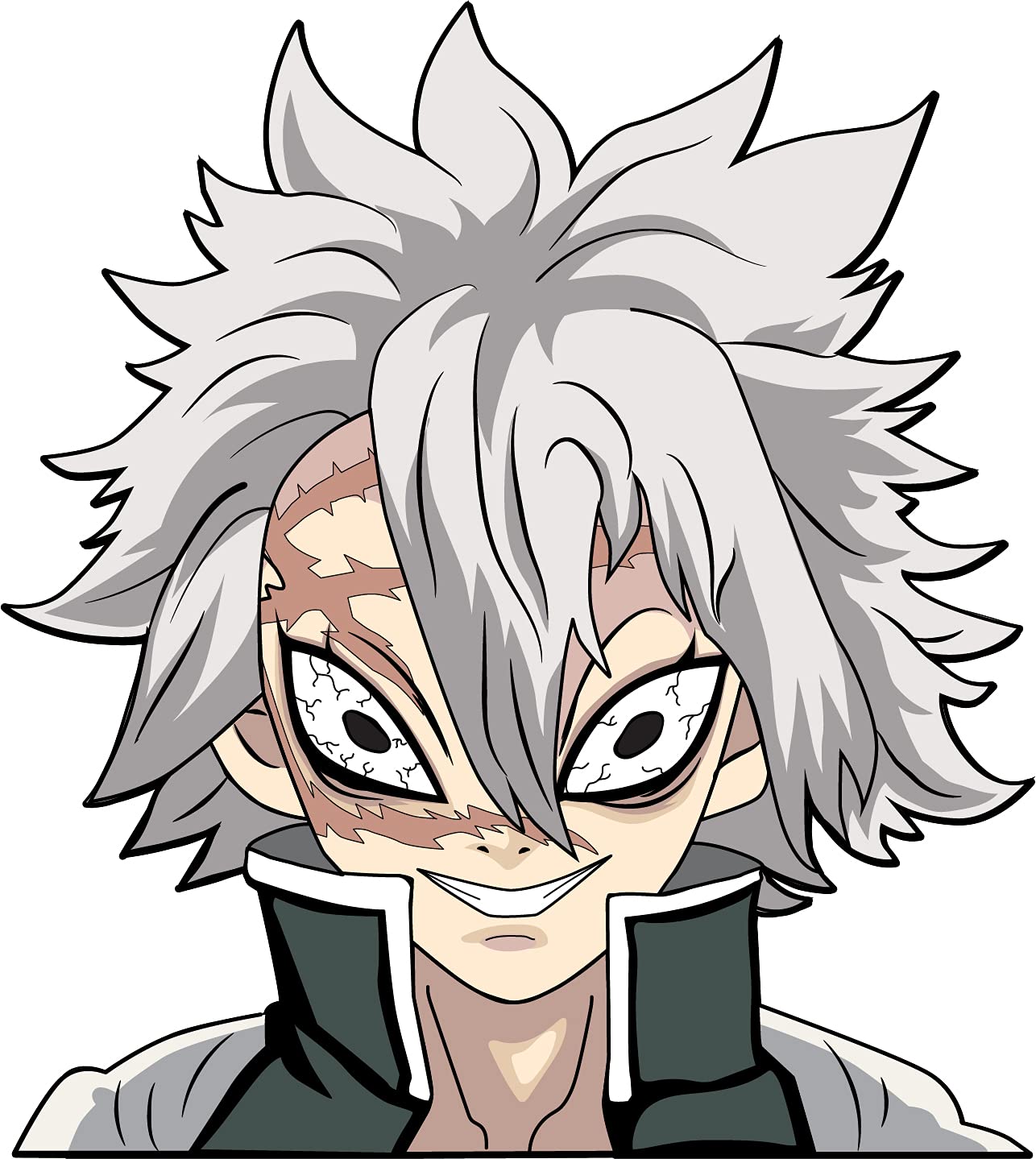 Galleria Heights Demon Slayer Hero Sanemi Shinazugawa Peeking Funny ...