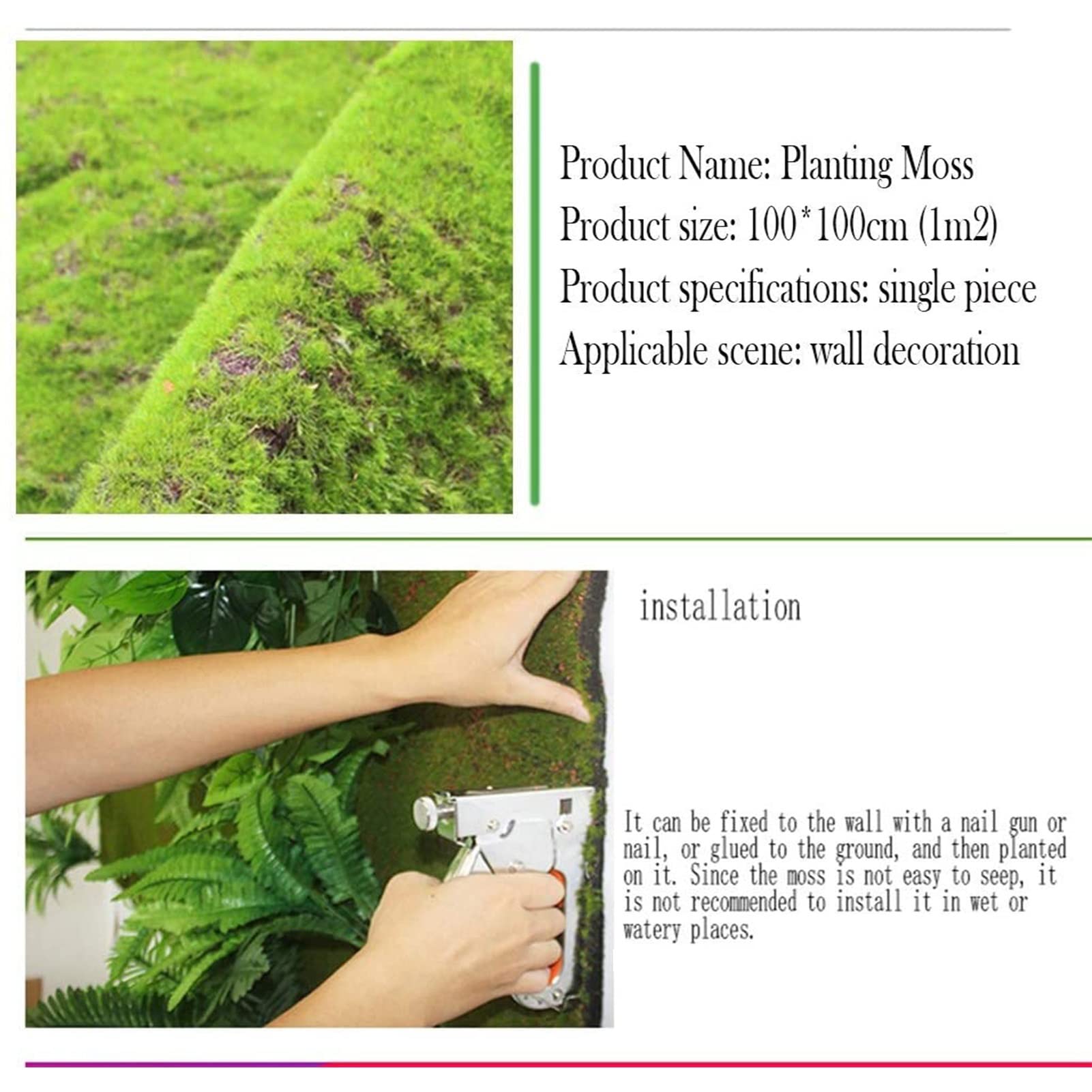 Fixed Plants With Names