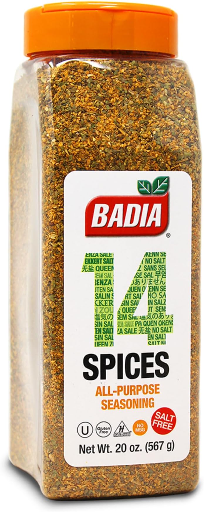 Amazon.com : Badia 14 Spices Salt-Free All Purpose Seasoning, 20 oz ...