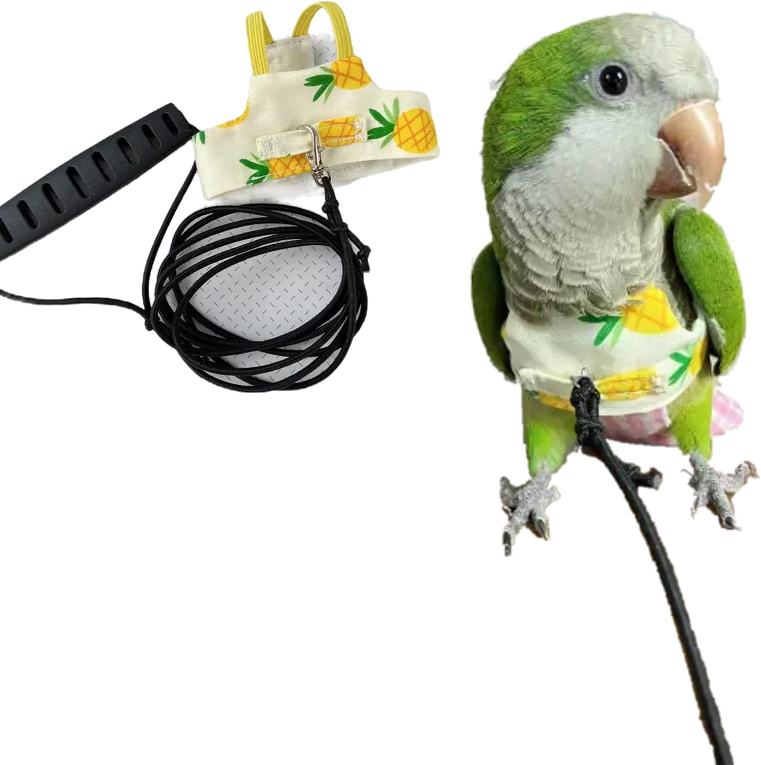 Amazon.com : Bird Flight Harness Vest, Parrot Suit with Leash for ...