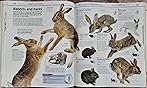 Knowledge Encyclopedia Animal!: The Animal Kingdom as you've Never Seen ...
