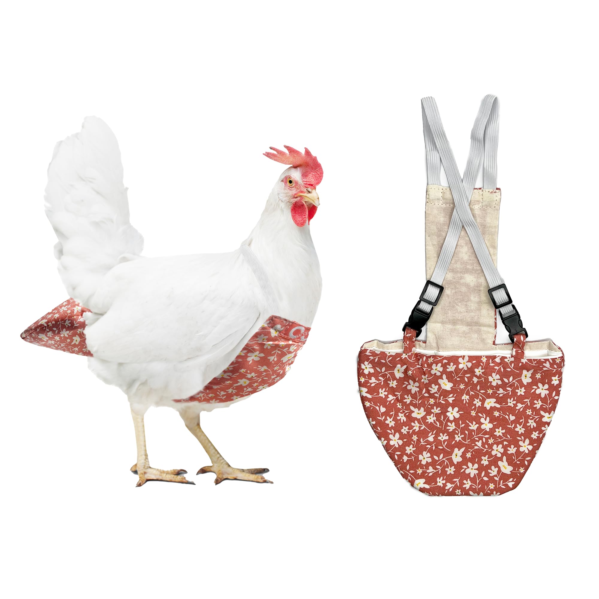 Amazon.com : Chicken Diapers for Hens, Duck, Goose, Rooster ...