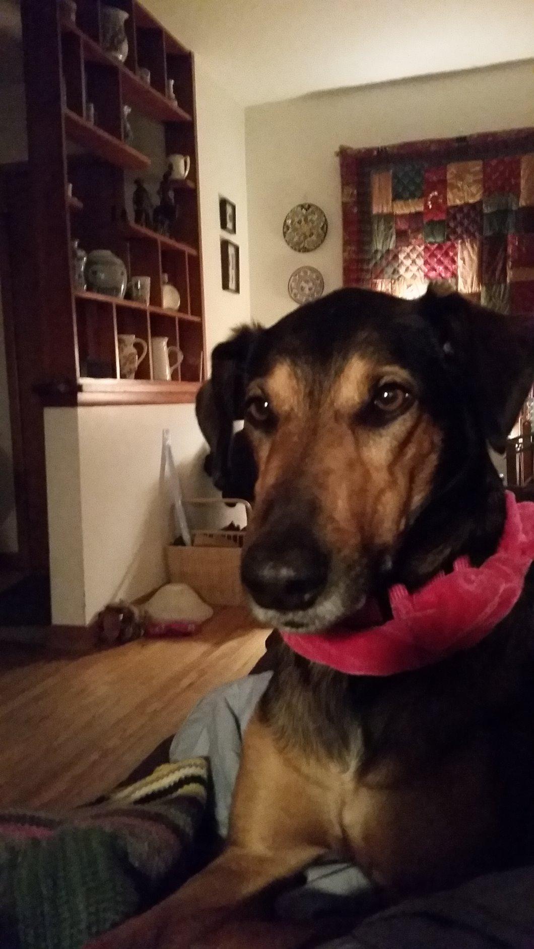 Amazon.com: 61 Hours: A Reacher Novel (Jack Reacher): 9780345541598 ...