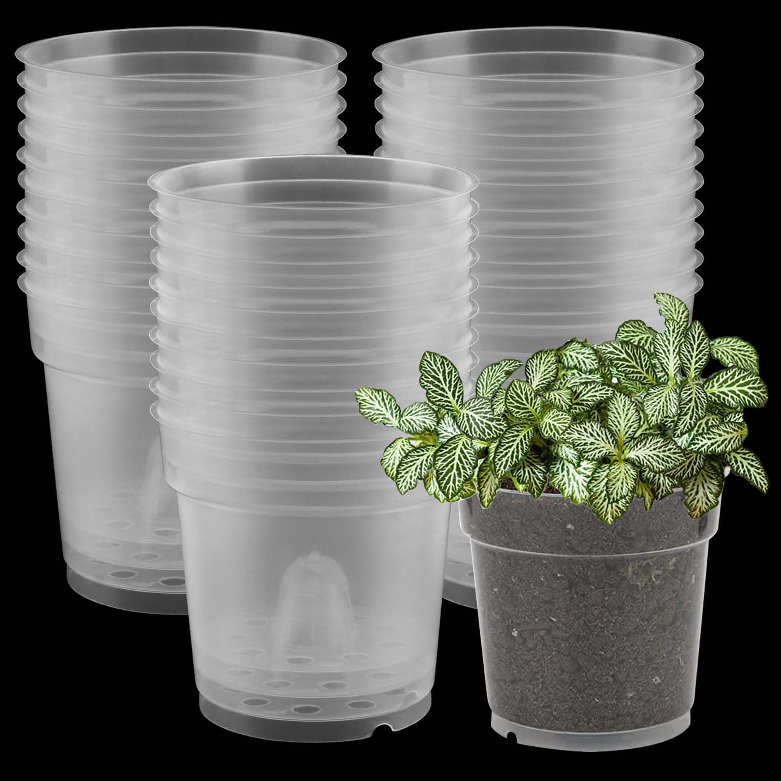 LATERN 30Pcs Clear Orchid Pots, 11.5CM Plastic Flower Plant Pot Hard ...