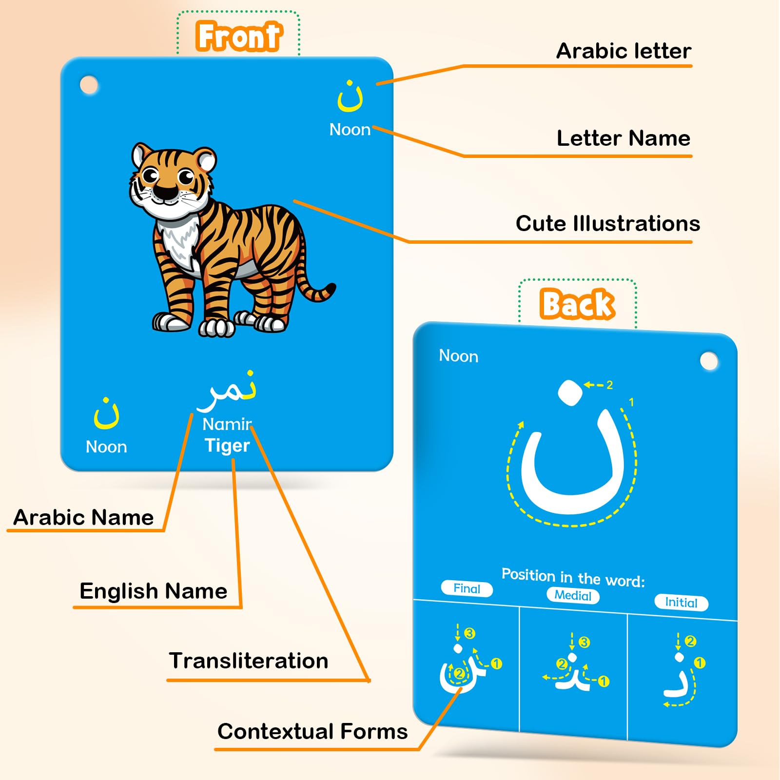 Snapklik.com : Kasfalci 48 Arabic Flash Cards For Kids,Toddler ...