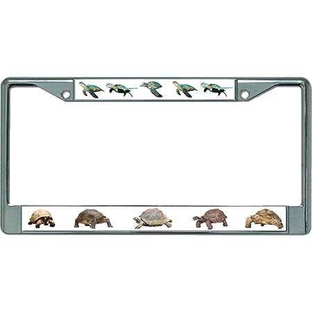 Amazon.com: Tortoises and Sea Turtles Chrome License Plate Frame ...