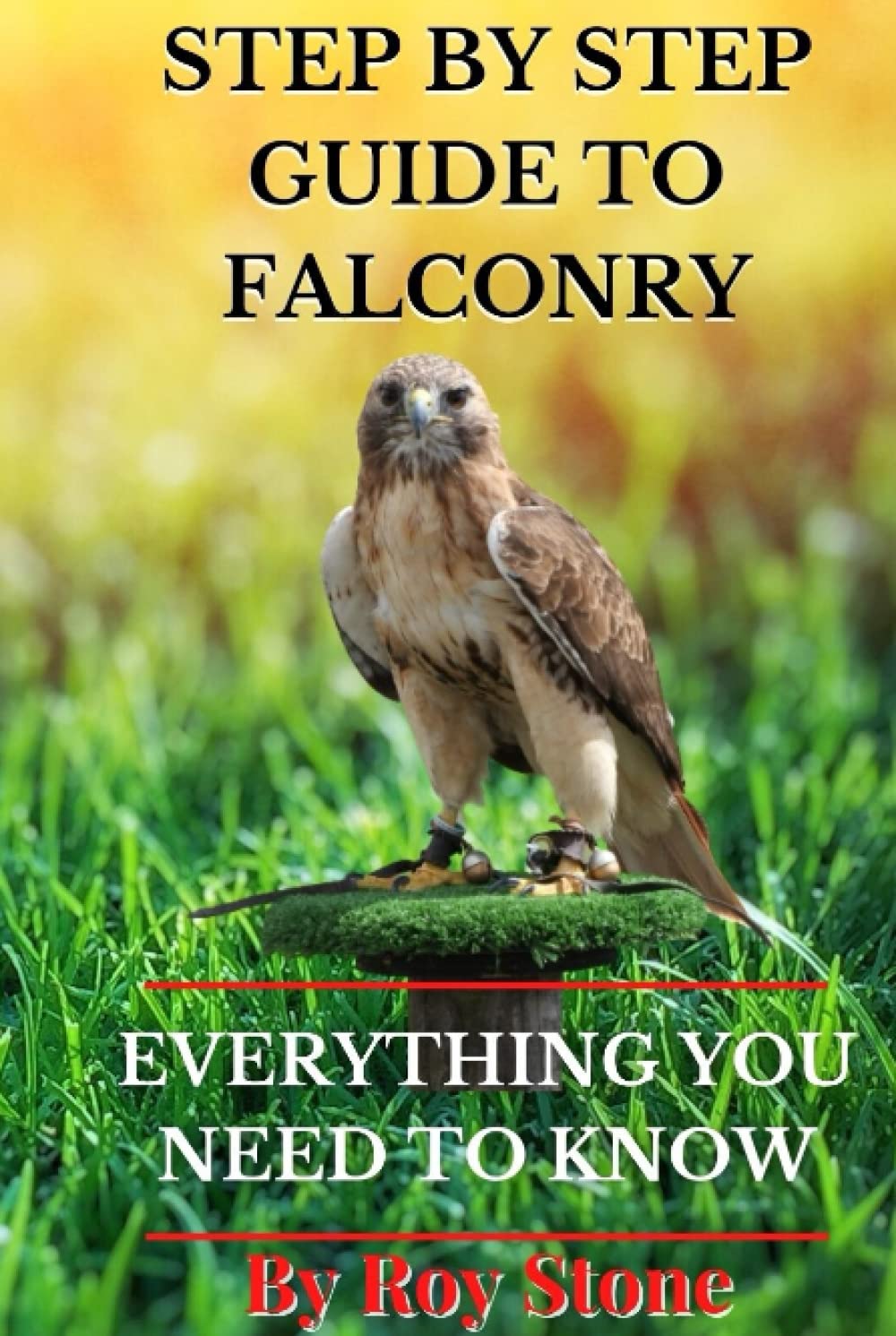 STEP BY STEP GUIDE TO FALCONRY: How To Start Falconry: Stone, Roy ...