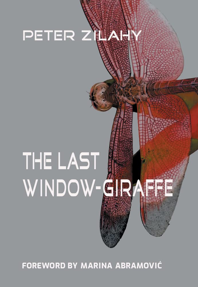 Amazon.com: The Last Window-Giraffe: 9789533514352: Zilahy, Peter ...