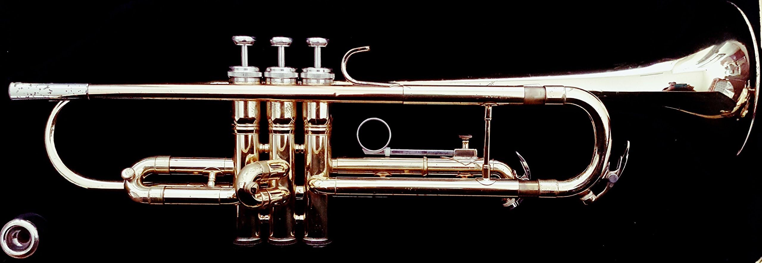 Amazon.com: KING Trumpet-Standard, lacquer (601) : Musical Instruments