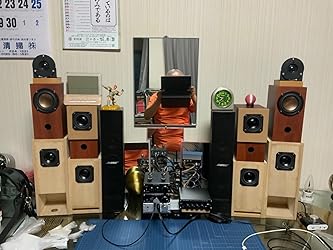 Amazon | HiVi B3N 8cmフルレンジアルミ軽合金コーンスピーカーユニット | HIVI | スピーカーユニット