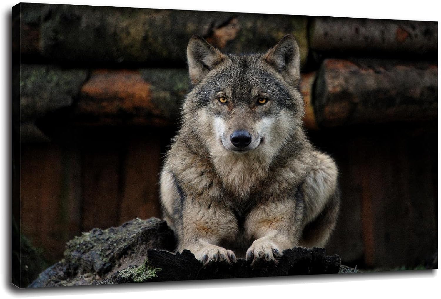 Amazon.com: Wall Art for Living Room Bedroom Wolf Pictures Poster Print ...