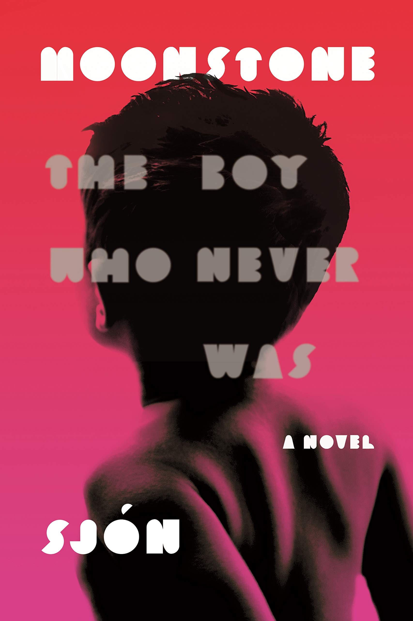 Amazon.com: Moonstone: The Boy Who Never Was: A Novel: 9780374536923 ...