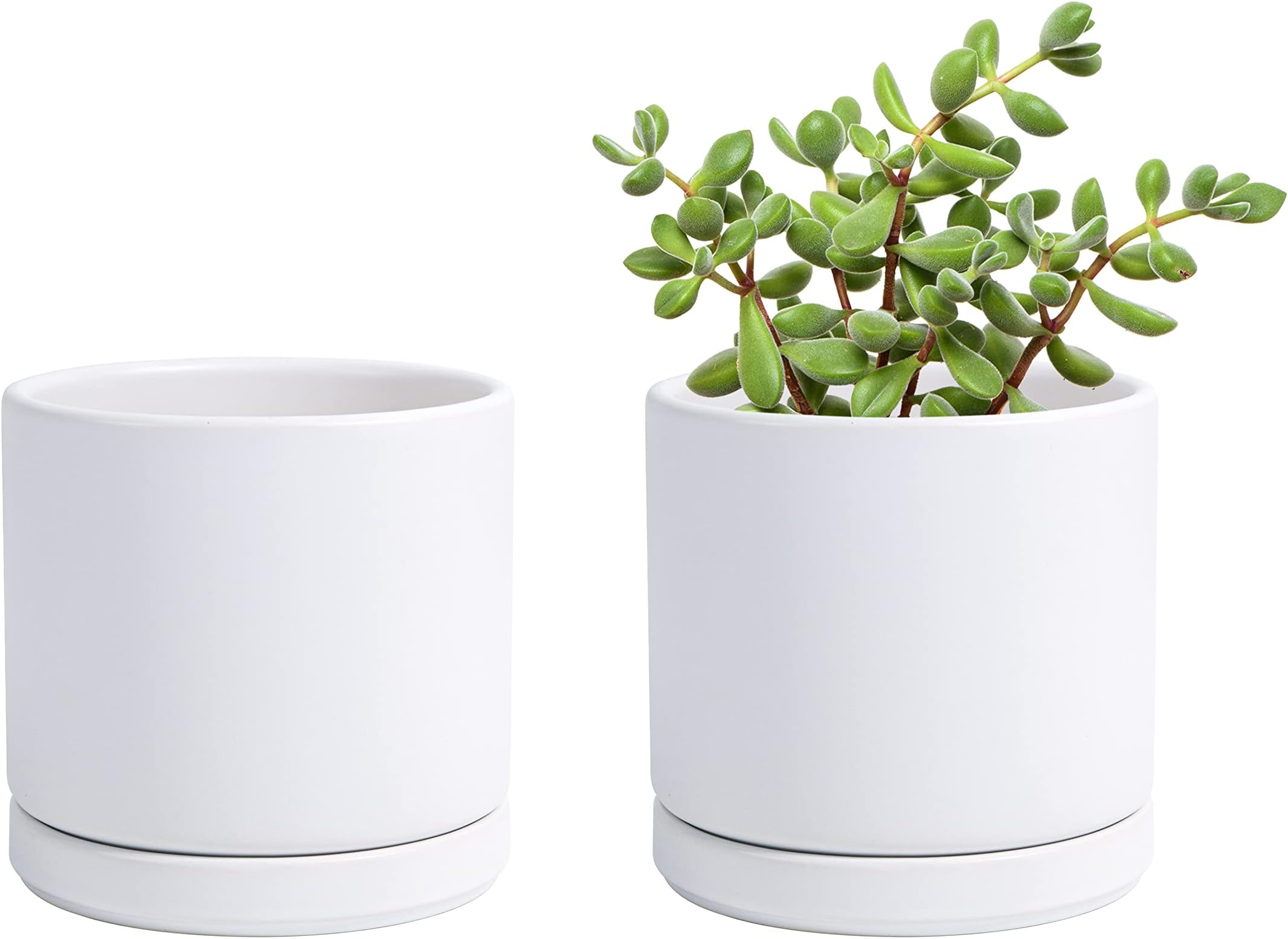 Amazon.com : 6" Self Watering + Self Aerating High Drainage Deep ...