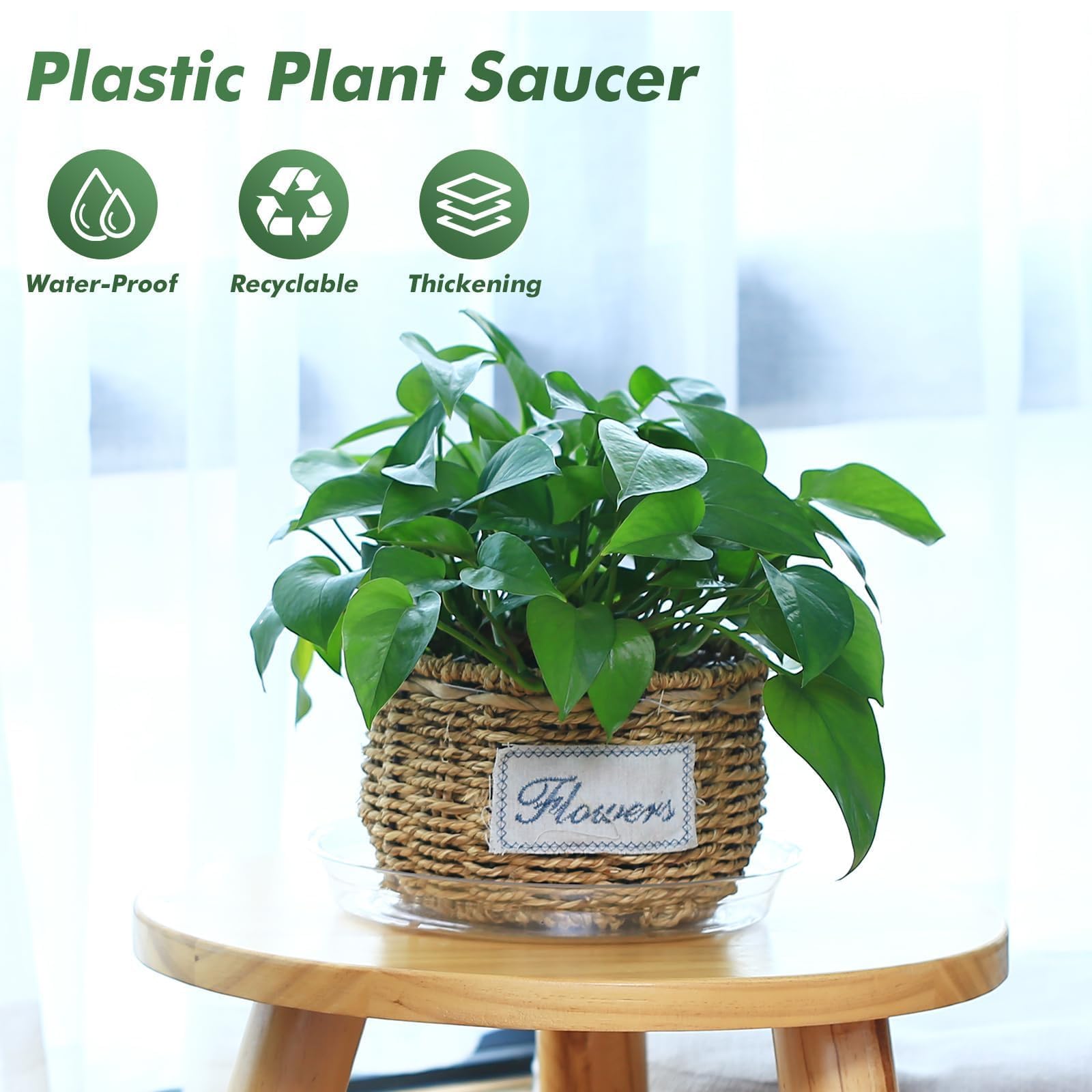 Snapklik.com : UltraOutlet 20 Pack Clear Plastic Plant Saucer 10 Inches ...