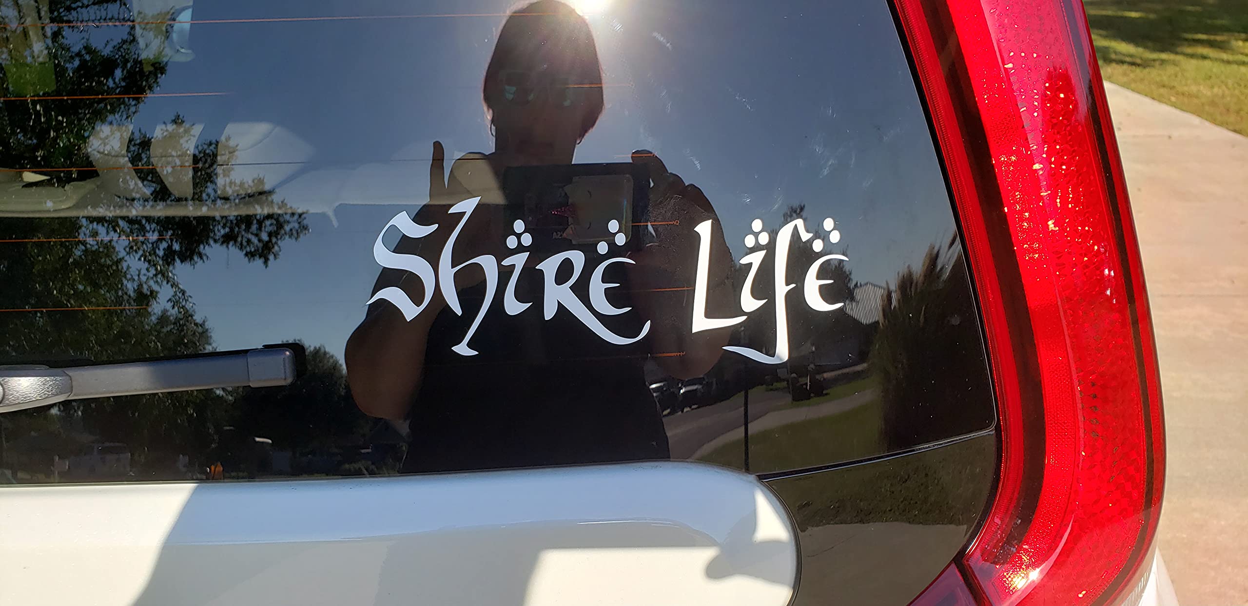 Salt Life Stickers For Cars