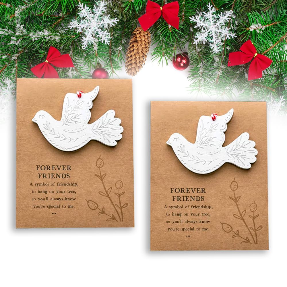 Amazon.com: Turtle Dove Friendship Christmas Ornaments,Turtle Dove ...
