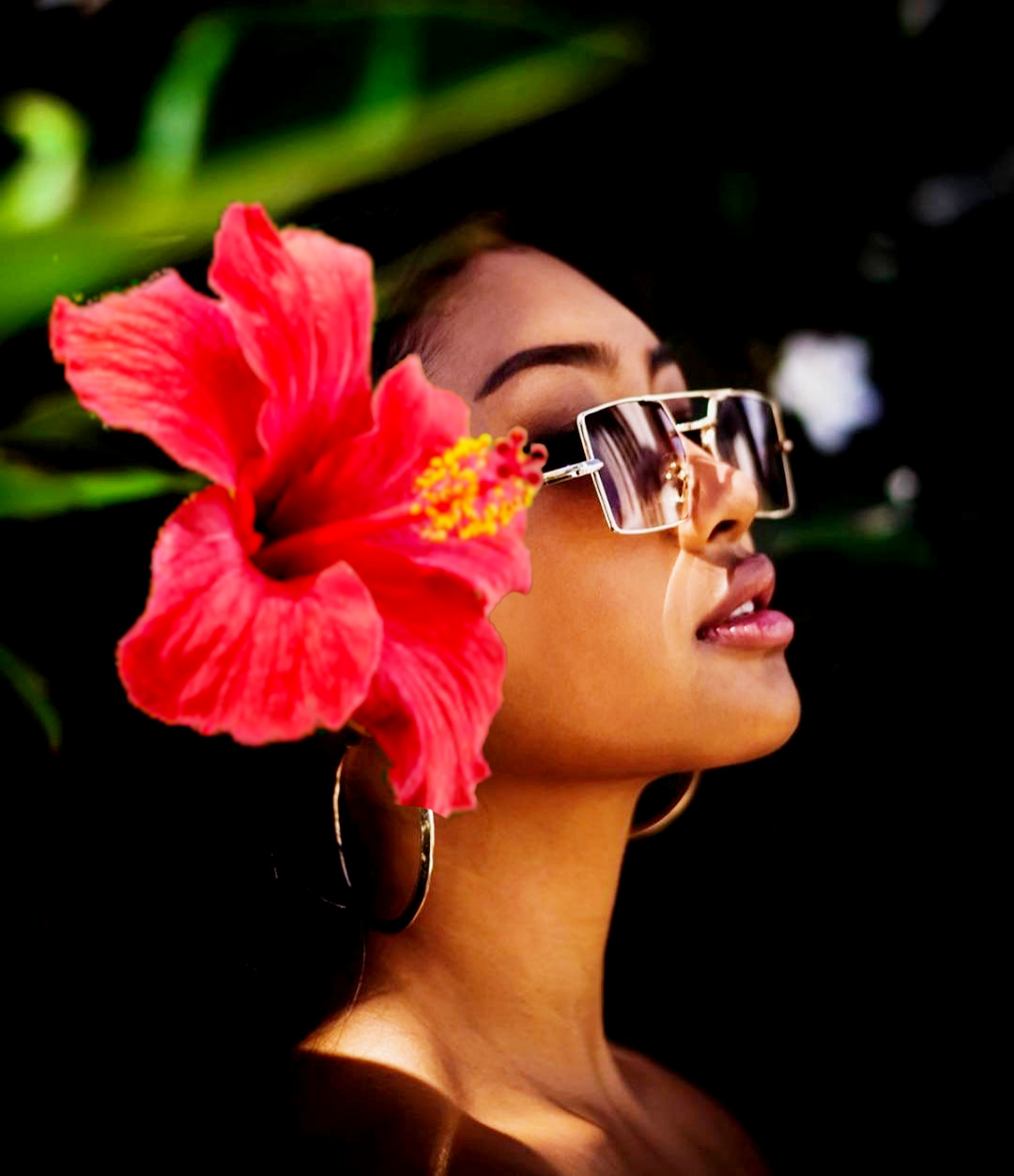 Amazon.com: TCI HIBISCUS: books, biography, latest update