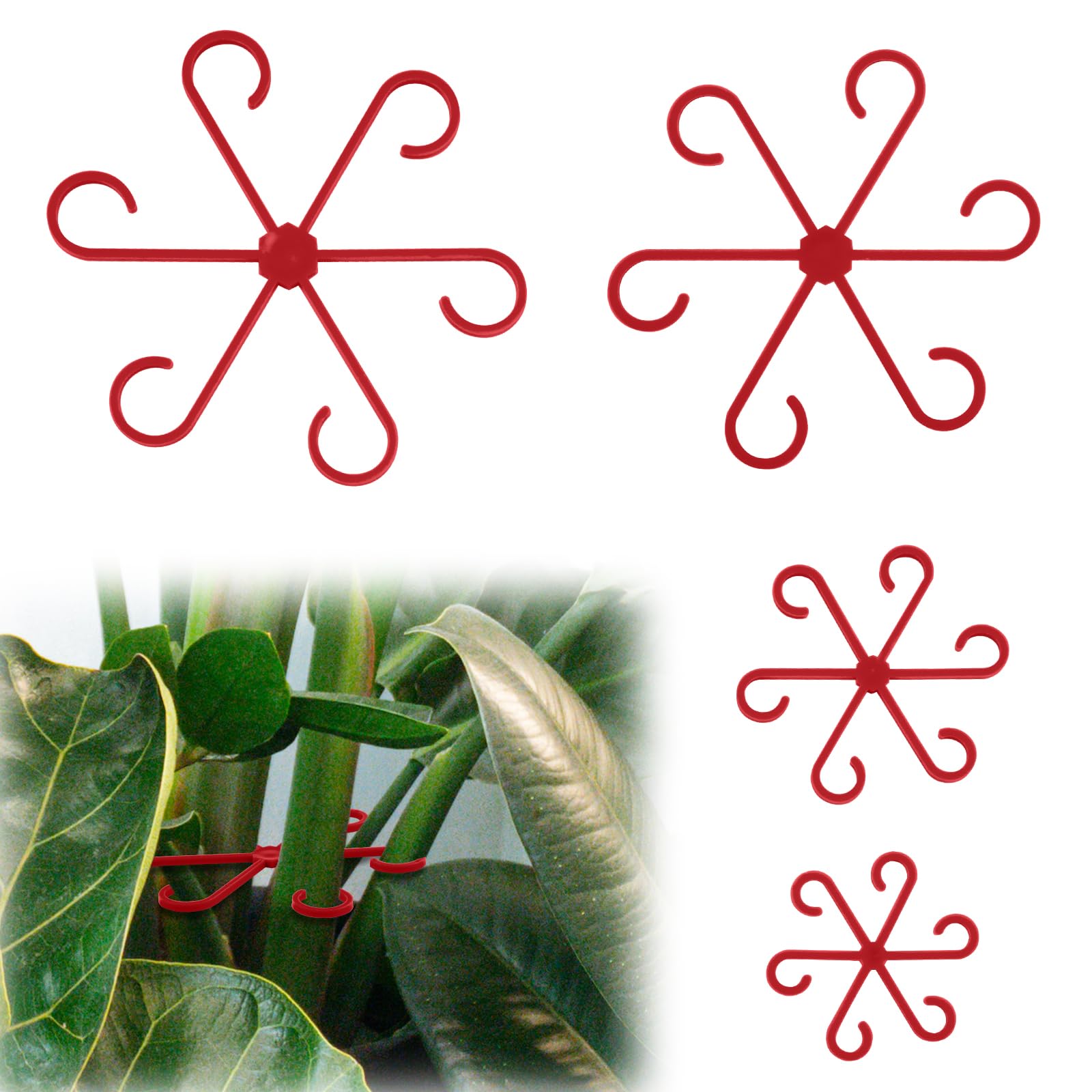Amazon.com : 4pcs Climbing Houseplant Stem Supports, Plastic Plant ...