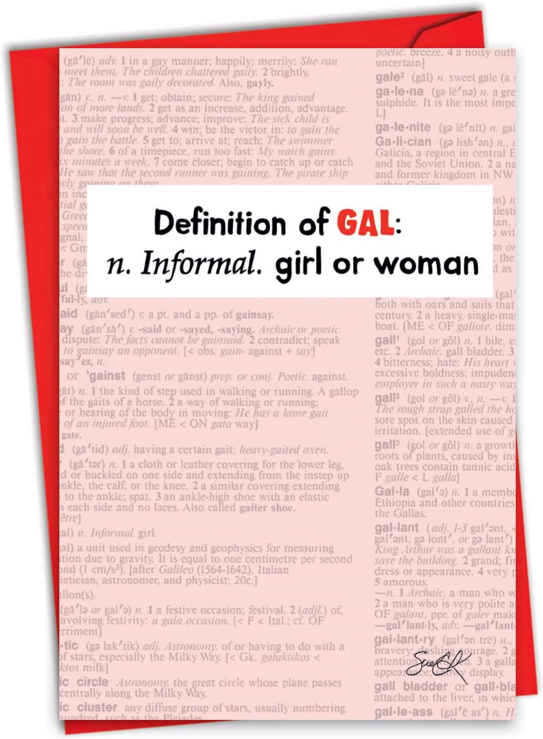 Amazon.com : NobleWorks Gal Definition - Galentine's Day Greeting Card ...