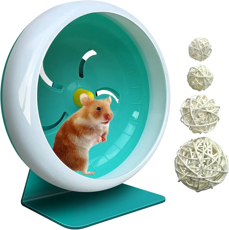 The Fascinating Explanation Behind A Hamster's Running On A Wheel | PetShun