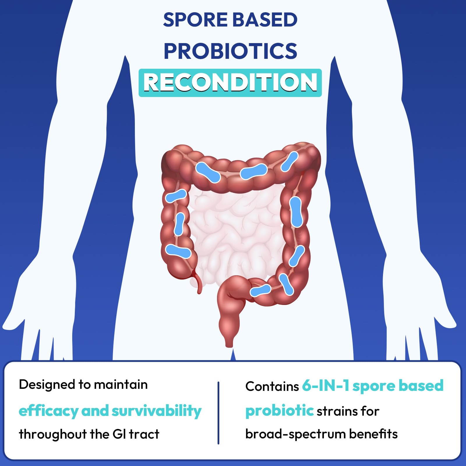 Snapklik.com : 100% Spore Probiotic, 20 Billion CFU Spore Based ...