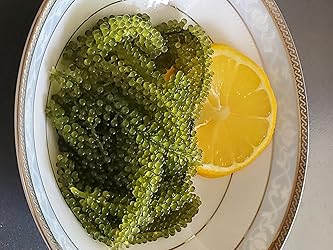 Amazon.com : Japanese Sea Grapes - The Original Umibudo Green Caviar ...