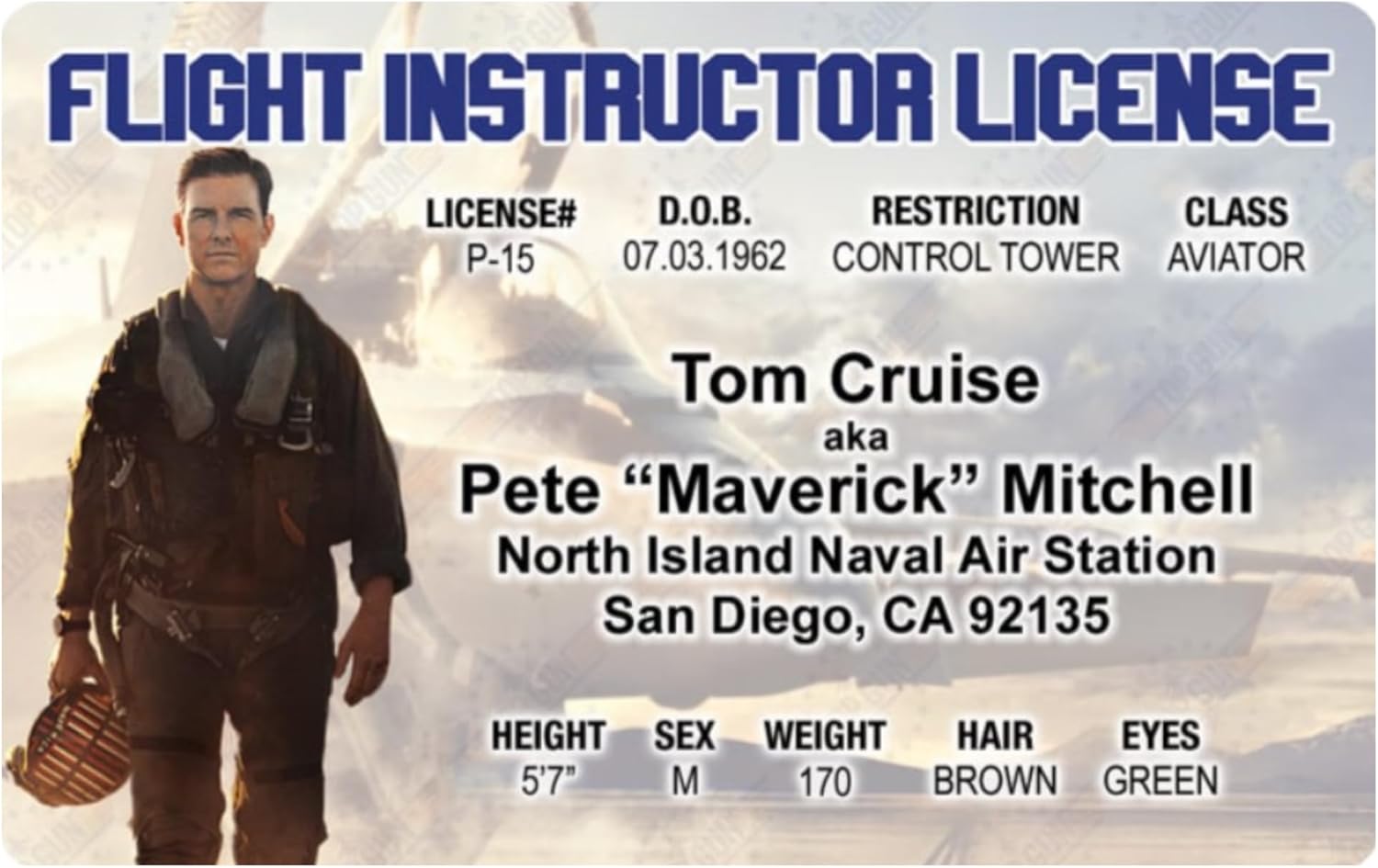 Amazon.com: Signs 4 Fun Parody Driver’s License | Tom Cruise Maverick ...