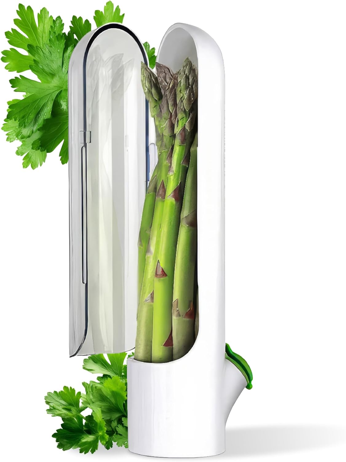 Amazon.com: XALVA Herb Saver Pod for Refrigerator - 1 Pack Space-Saving ...