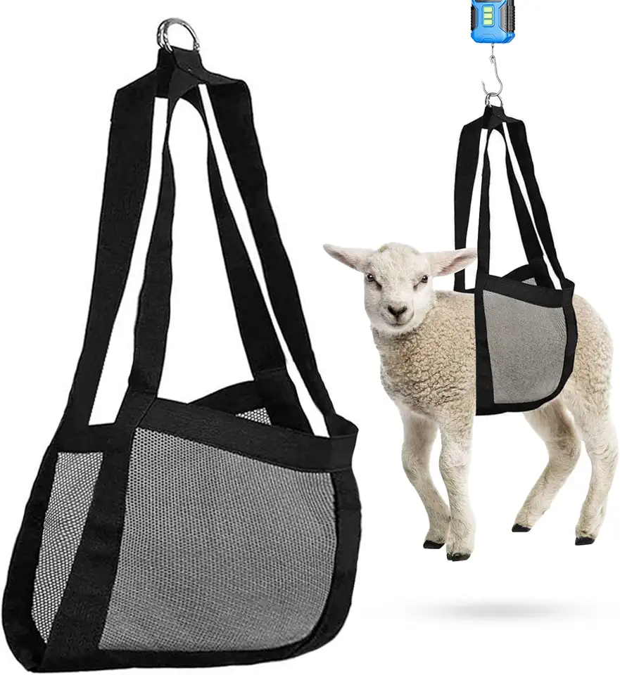 Newborn Calf Weights: What's Healthy? | ShunChild