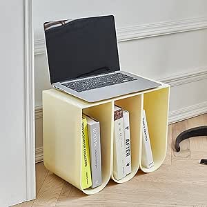 Amazon.com: ROYUMI Acrylic Magazine Holder for Living Room ...