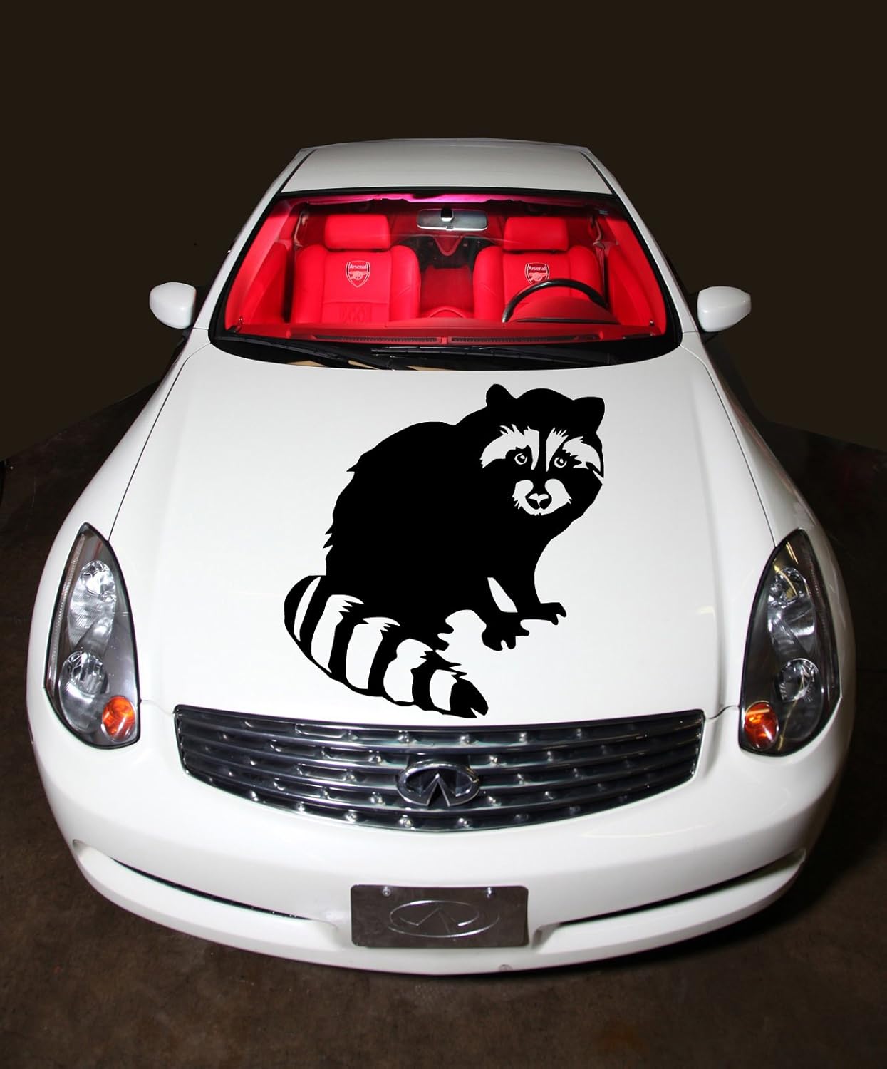 Amazon.com: Car Hood Vinyl Sticker Cute Raccoon G29 : Everything Else