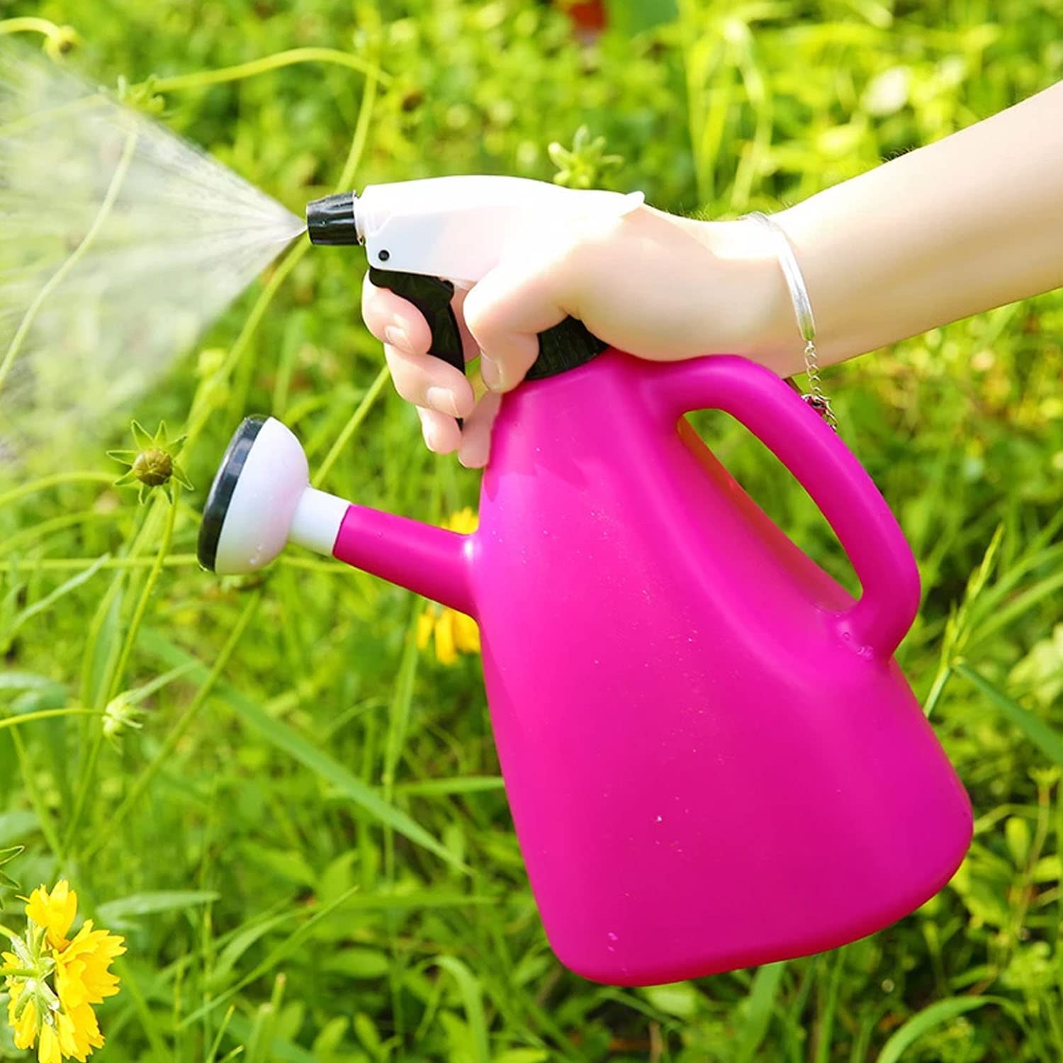 Episkey Plastic Watering Can with Sprayer 1 litre (2 in 1 - Multicolor ...