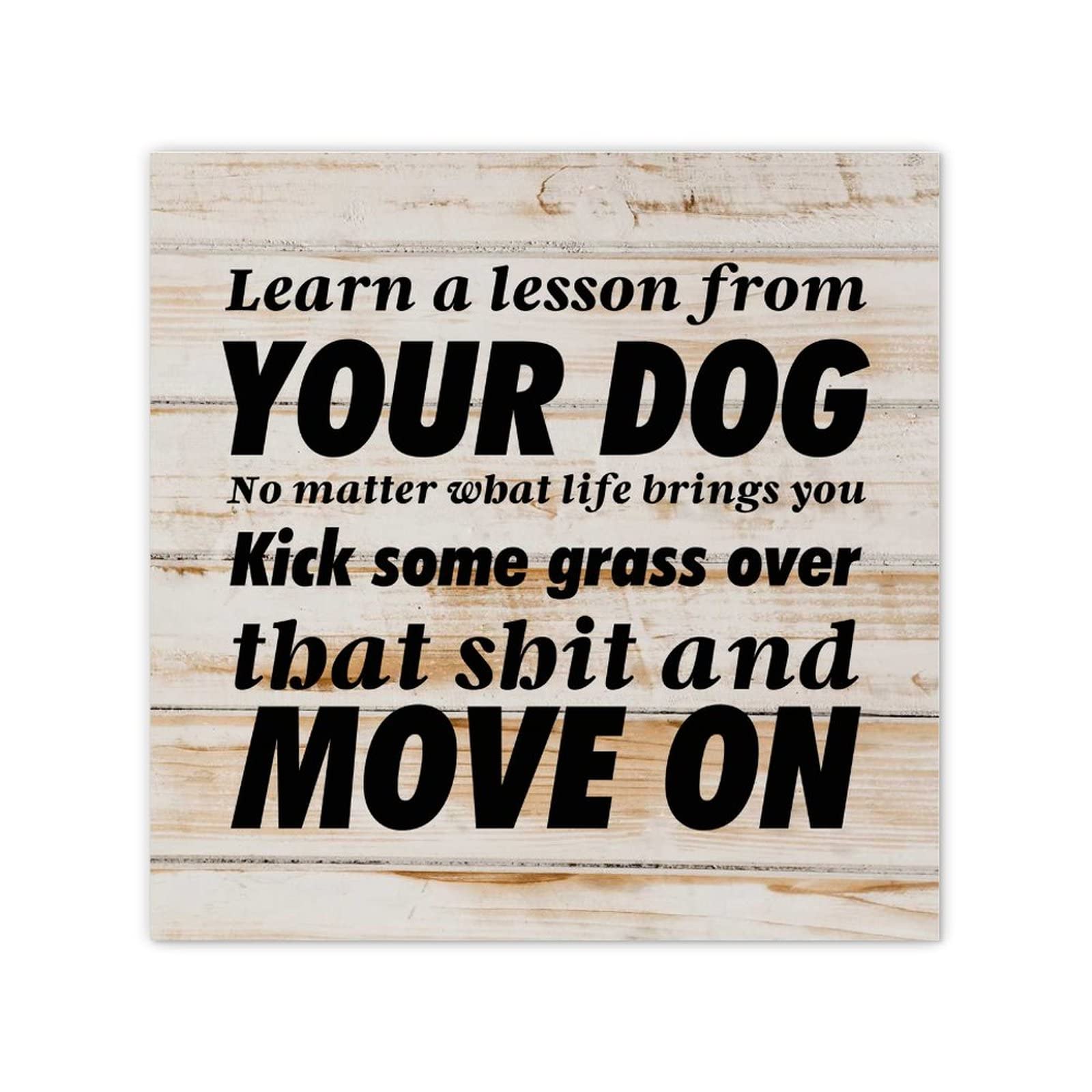 Learn A Lesson From Your Dog No Matter