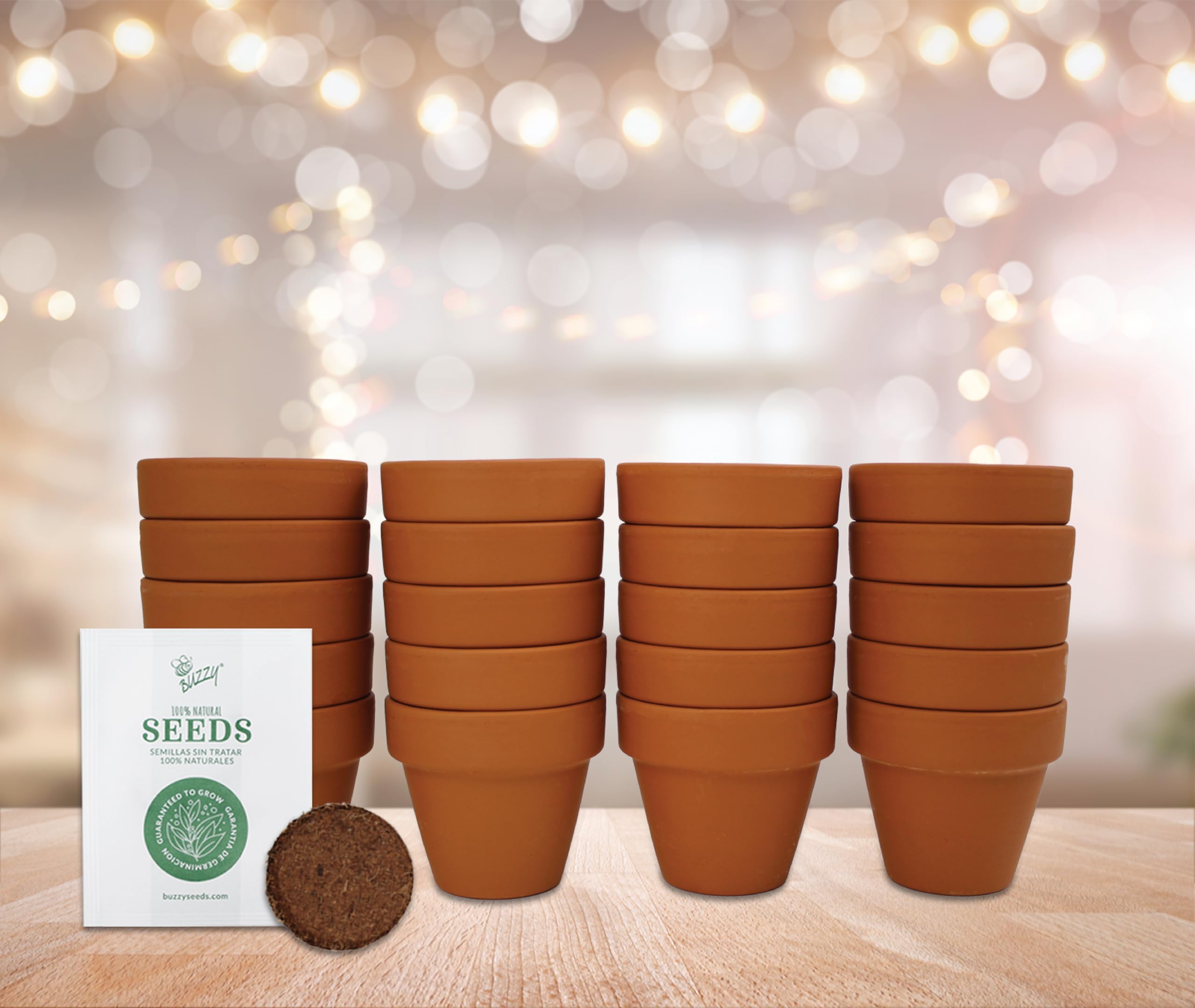 Snapklik.com : BUZZY Seeds Spruce Terracotta Mini Grow Pots Indoor Tree ...