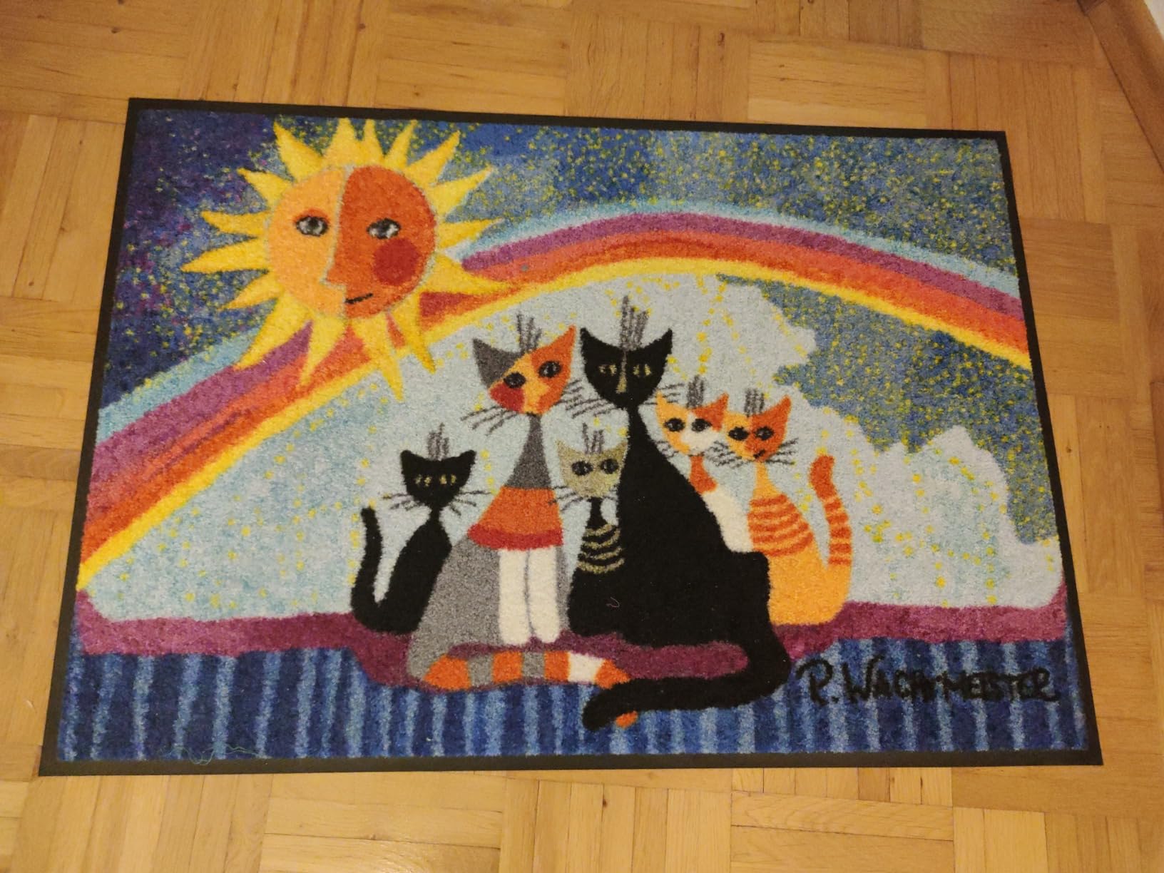 Amazon.de: Rosina Wachtmeister Fußmatte Sunny Family 050x075 Fußabtreter außen Hauseingang ...