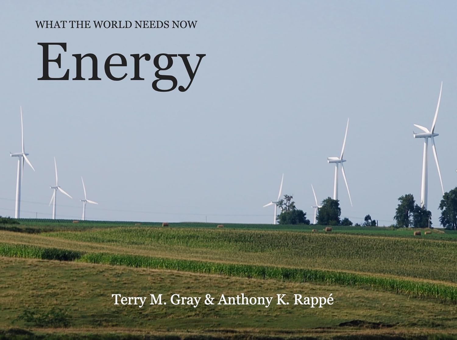 Energy: What the World Needs Now , Gray, Terry M., Rappé, Anthony K ...