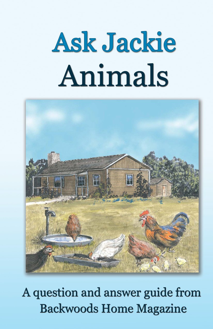 Amazon.com: Ask Jackie: Animals eBook : Clay-Atkinson, Jackie ...